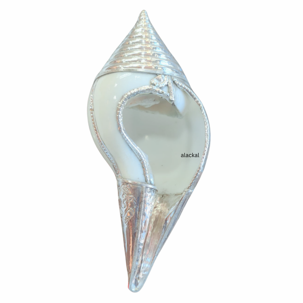 AUTHENTIC PURE SILVER COVERED POOJA SHANKH | SILVER CONCH – Alackal ...